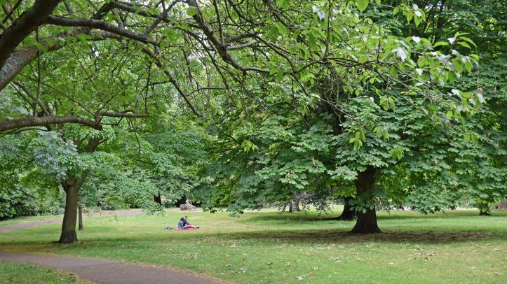 Henrietta Park