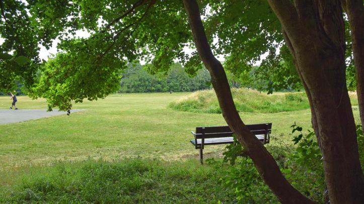 Pennyquick Park