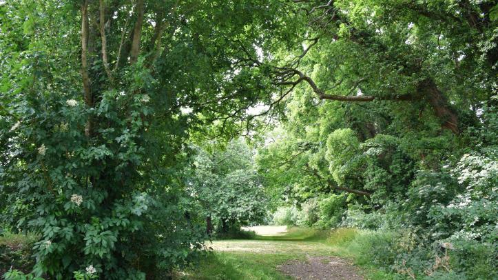 Pennyquick Park